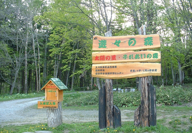 Mount Ashibetsu Mountain Trail Entrance（Furano City）| Domingo